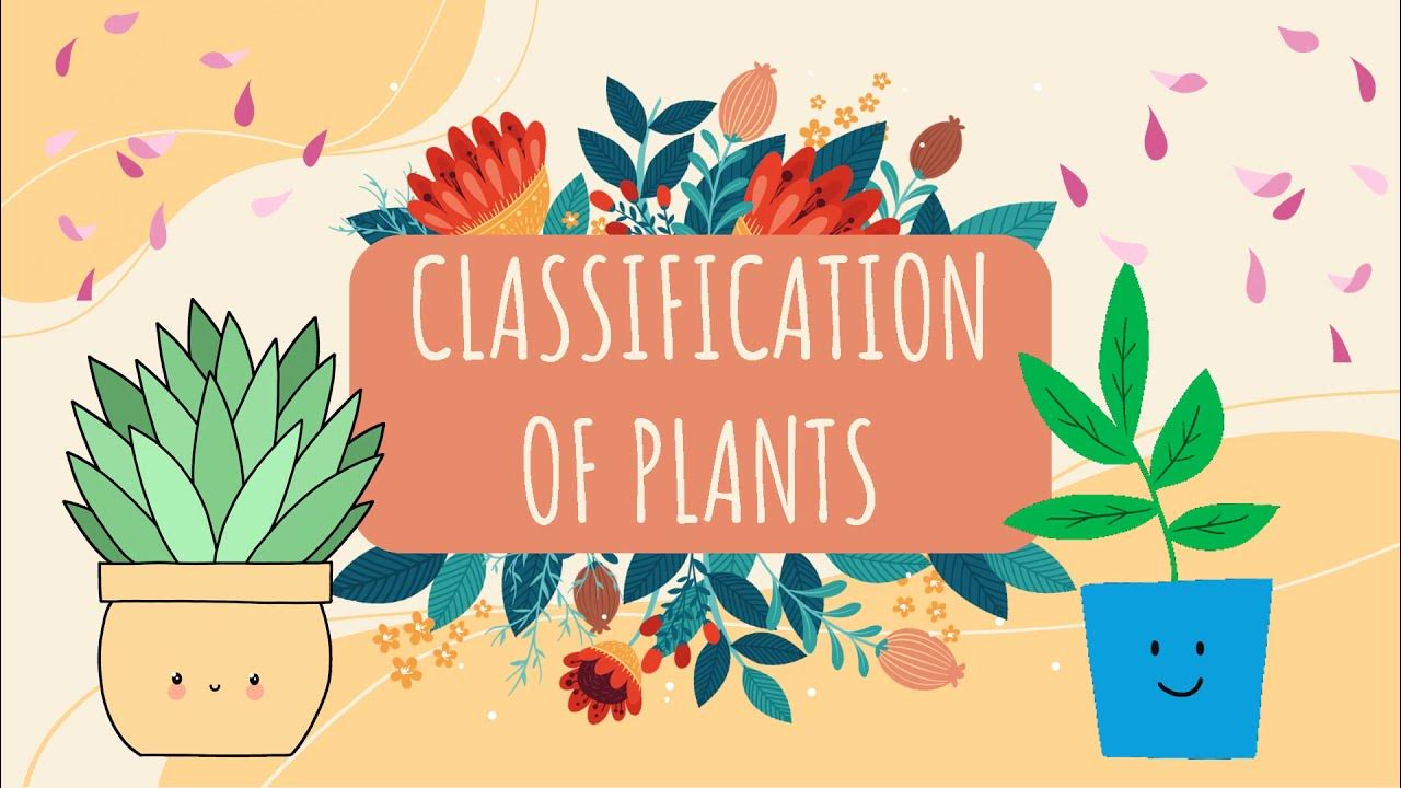 G6 Science Classification of Plants - YouTube
