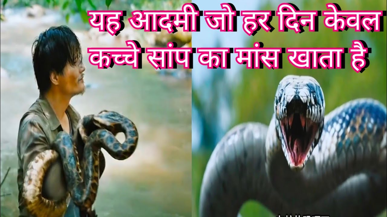 Raw Snake Meat for Every Meal: Is This Extreme or Genius? Part 1 | # ...