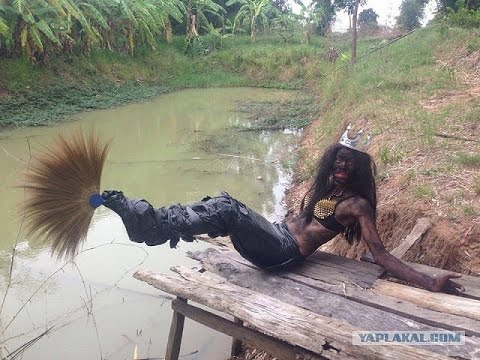 chtih arabic Performance 2015