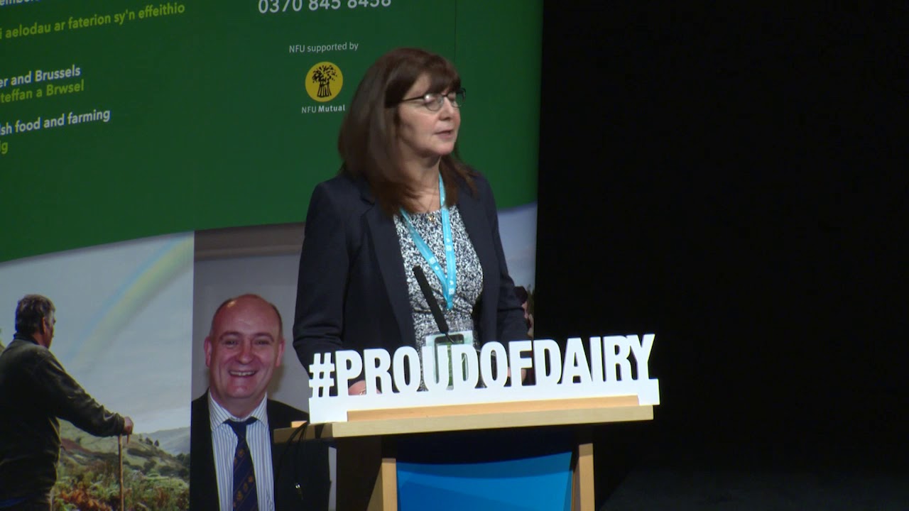 Lesley Griffiths, Cabinet Secretary for Environment and Rural Affairs ...