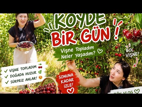 Köyde Bir Gün: Korku, Kahkaha ve Lezzet!🍒