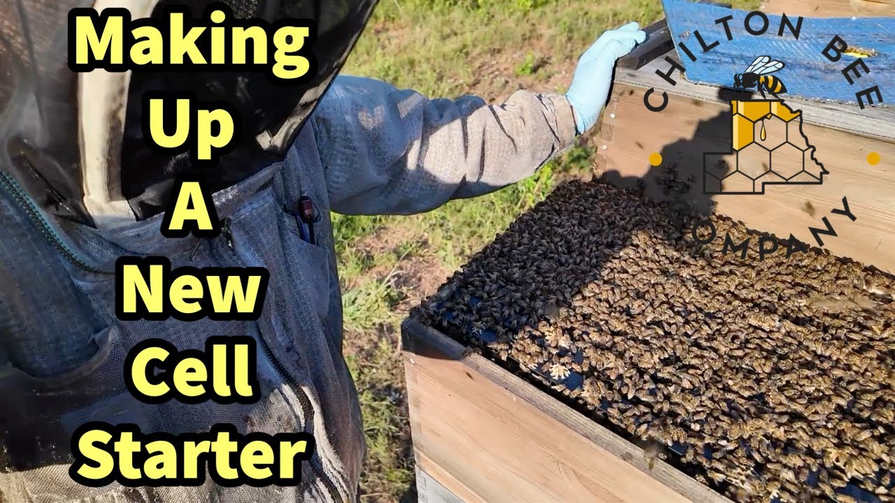 Making Up A New Cell Starter - YouTube