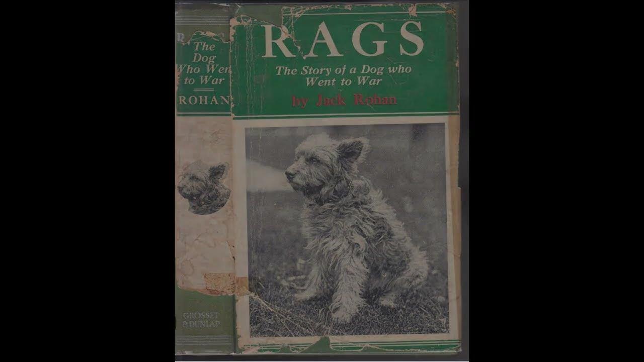 The Veteran Hero Rags the Dog - YouTube