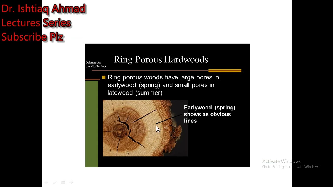 Ring porous and Diffuse porous woods...Use head phones plz... - YouTube