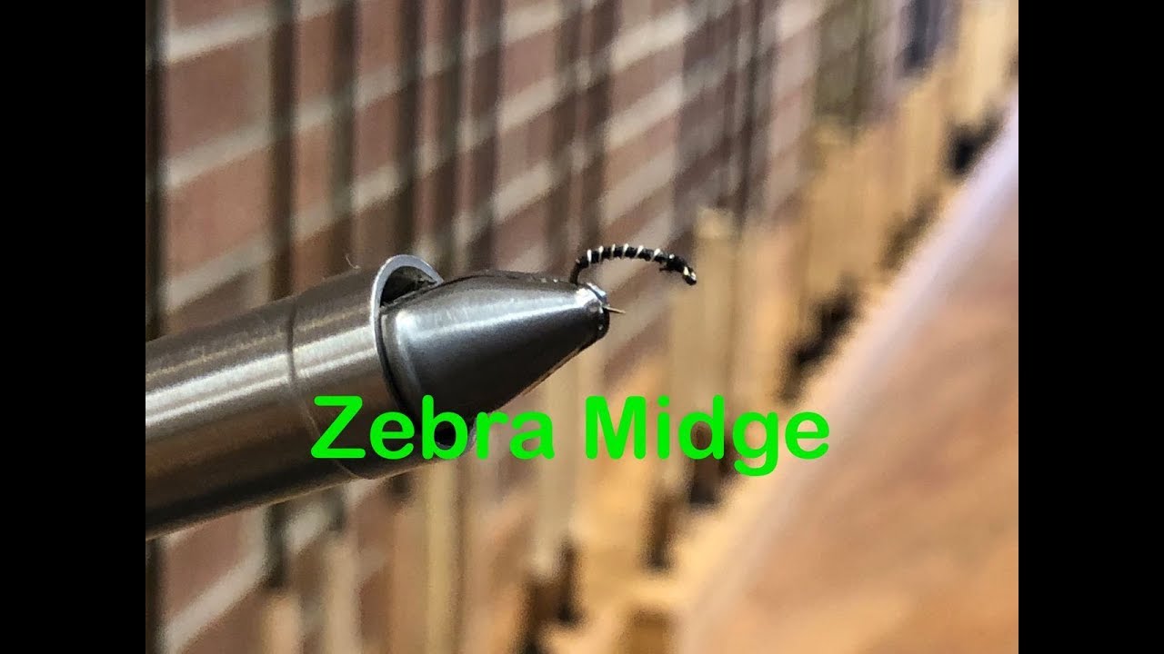 Zebra Midge - YouTube