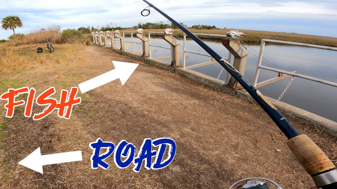 I caught a BUNCH of REDFISH on the side of the road... - YouTube
