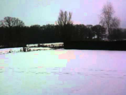 Neo Duck 7 - YouTube