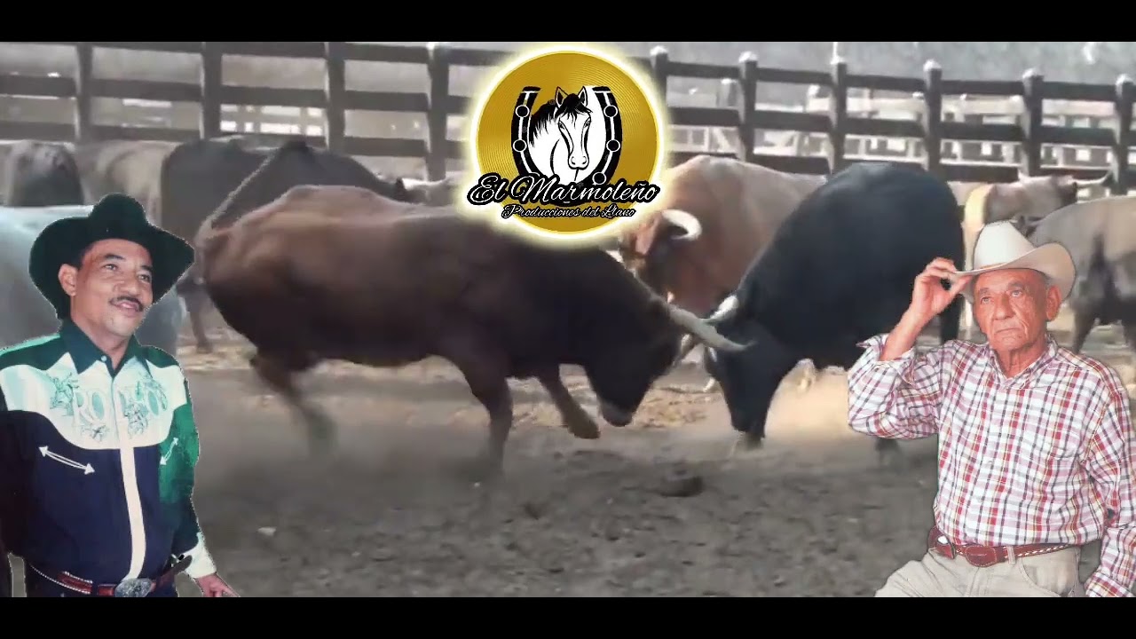 BRAULIO PALMA HIJO Y BRAULIO PALMA EL TORO NEGRO PITANDO DOS MADRINEROS ...