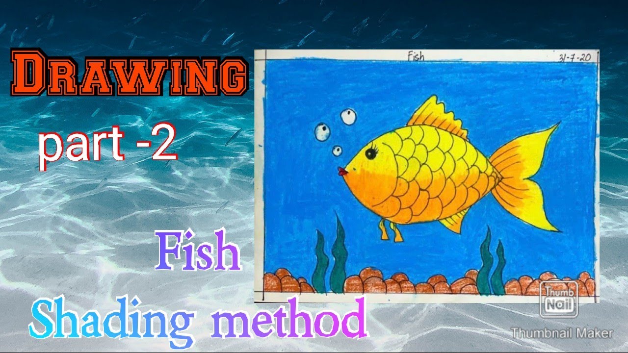 Drawing ( fish) shading method part-2 - YouTube