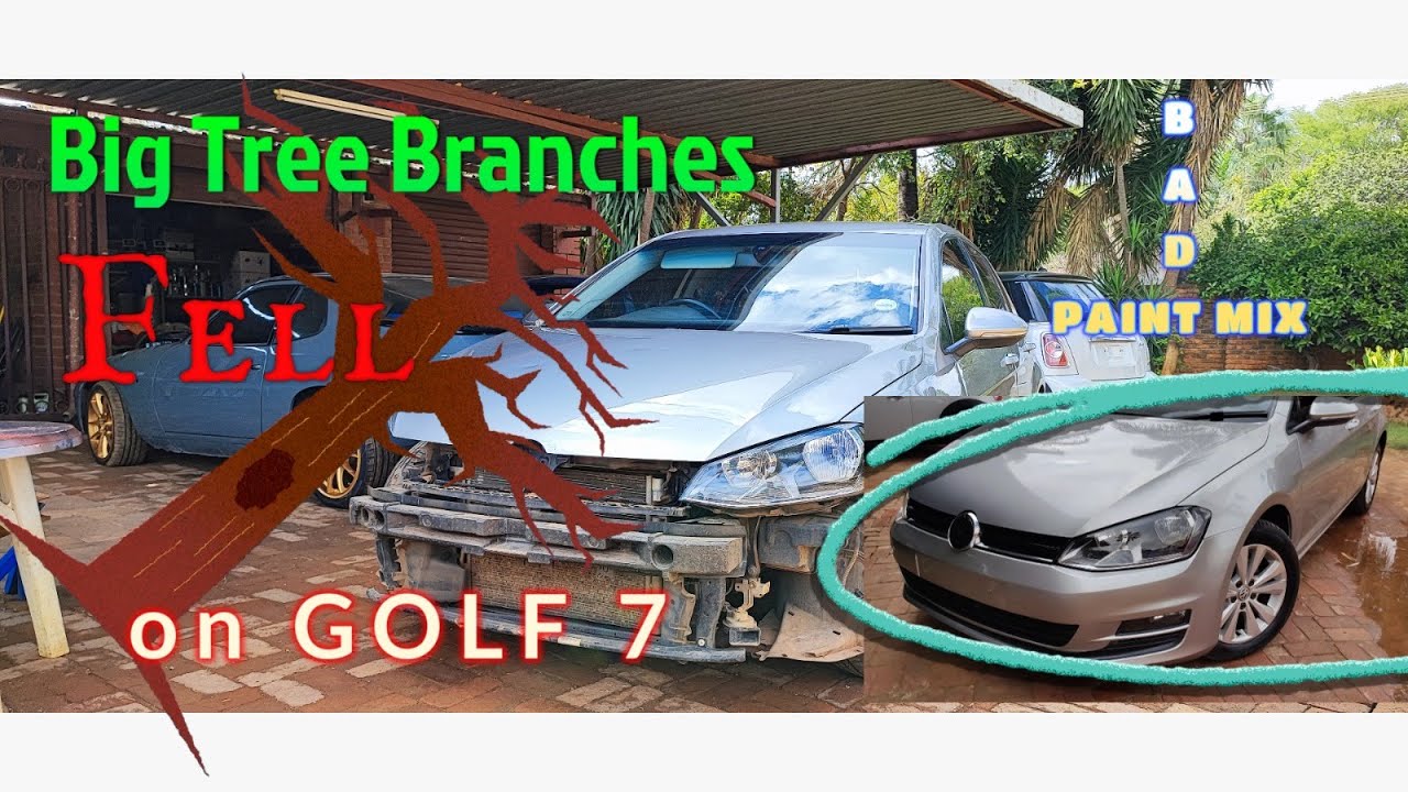 Repairing This VW Golf 7 after a tree fell on it. - YouTube