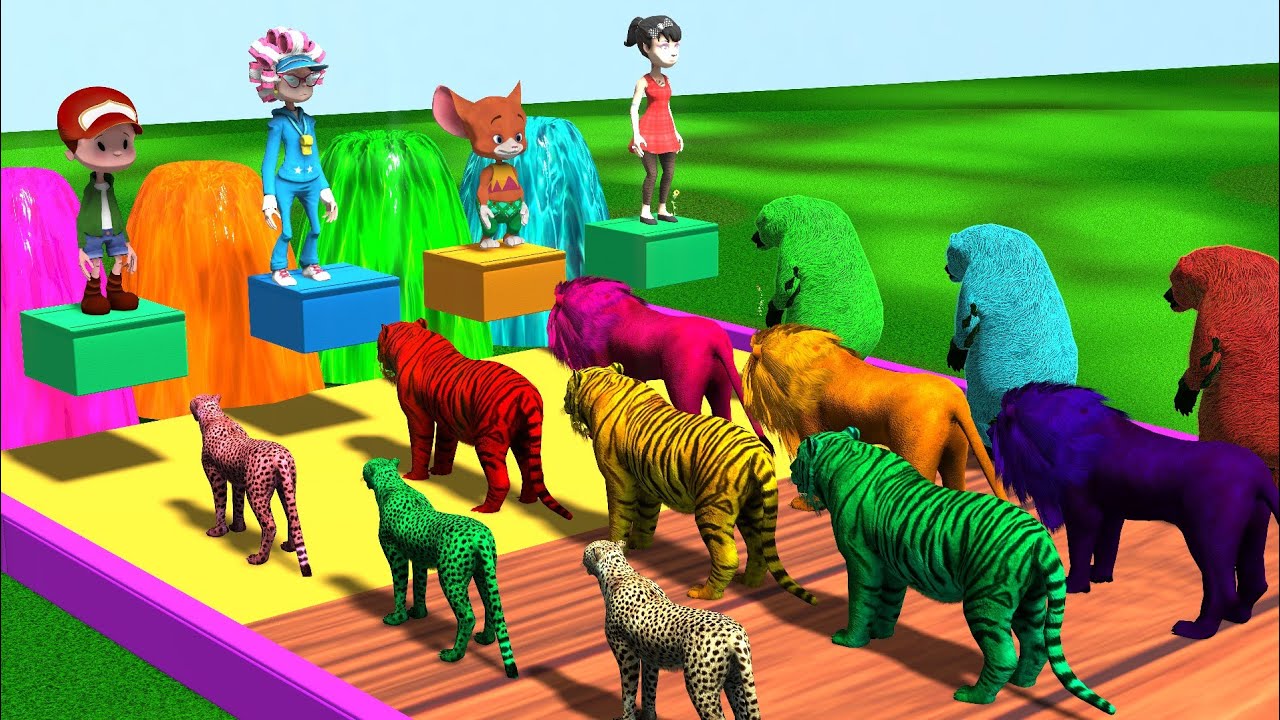 Paint Animal Tiger,Lion,Cheetah,Bear Fountain Crossing Animal Game ...
