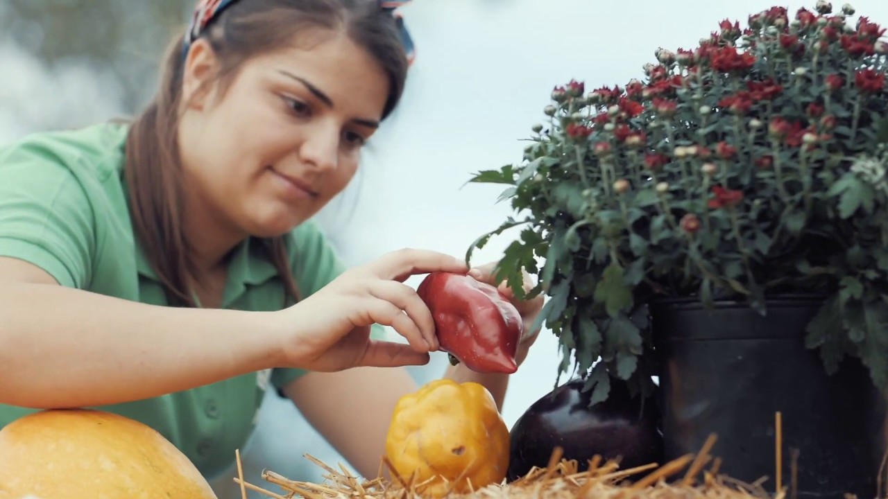 Colina Noua - Community - YouTube