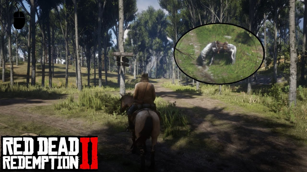 Red Dead Redemption 2 - Como encontrar o Missouri Fox Trotter - YouTube