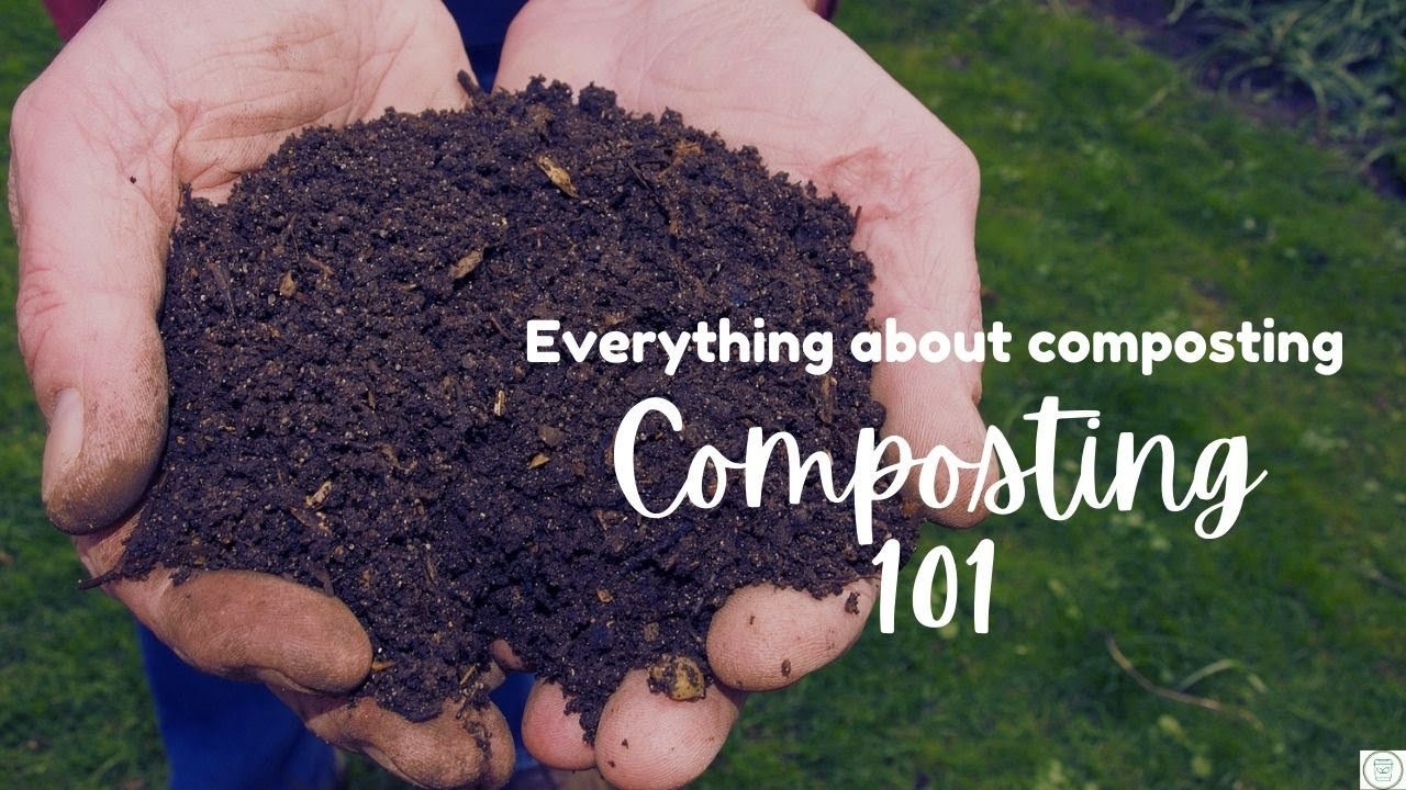 Composting 101 : Everything about composting | Dost Bin | @dostbin ...