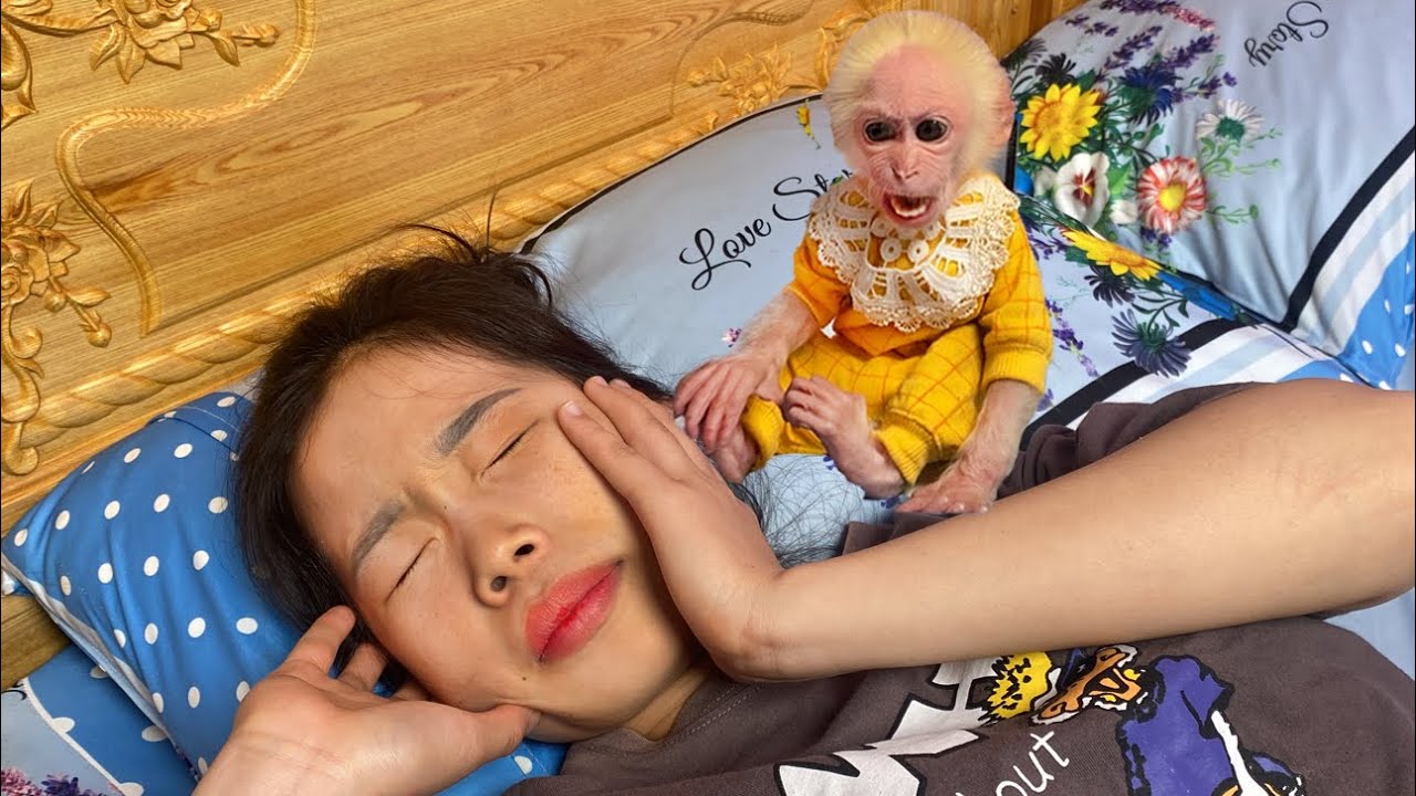 So hungry! Monkey Luk Smart wakes up mother to be eat fruit - YouTube