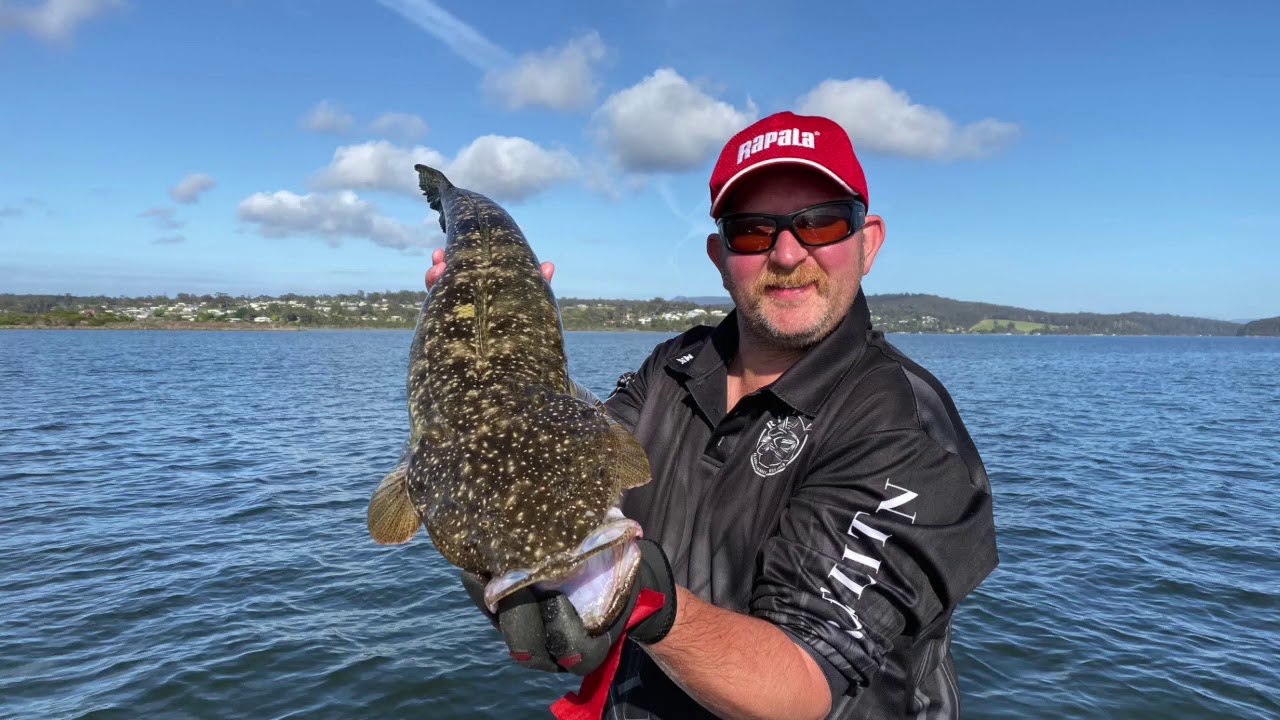 BIG FLATHEAD inhales Smaller Flathead and gets landed.... - YouTube