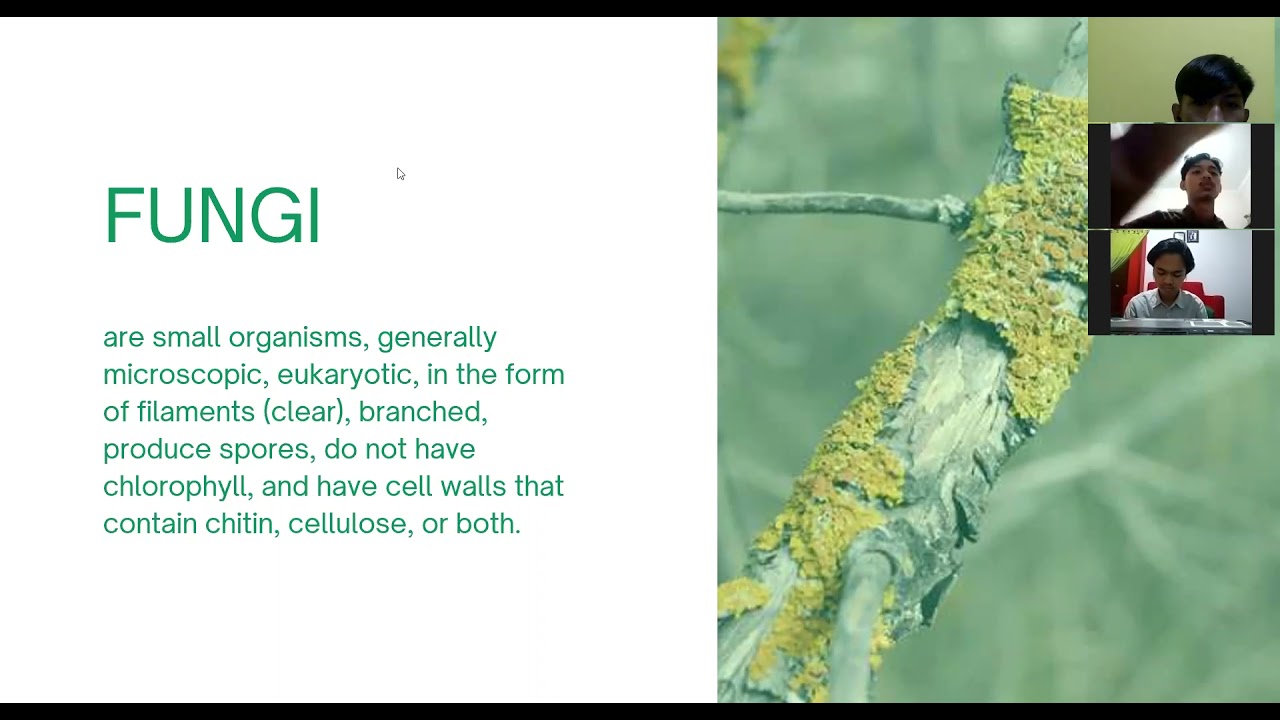 PEST CONTROL : BIOLOGICAL CONTROL (Fungi And Bacteria) - YouTube