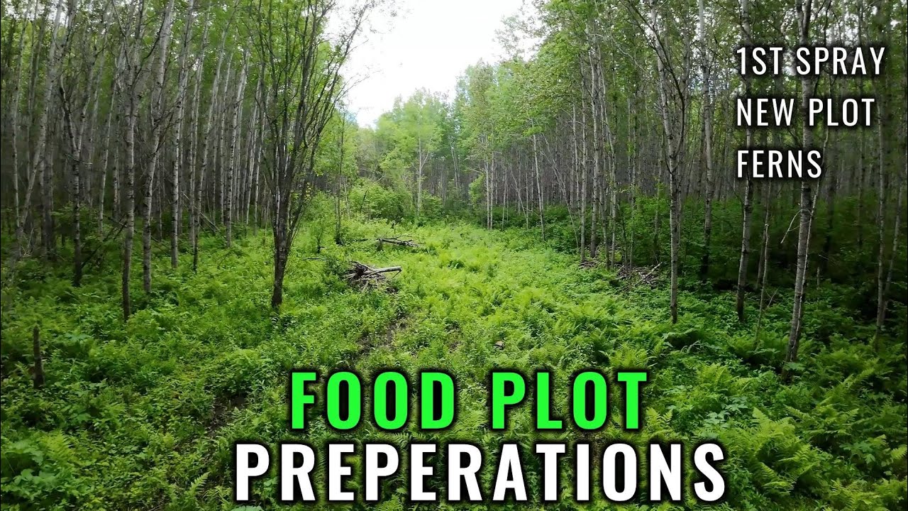 Food Plot Preparation 1st Spray - YouTube