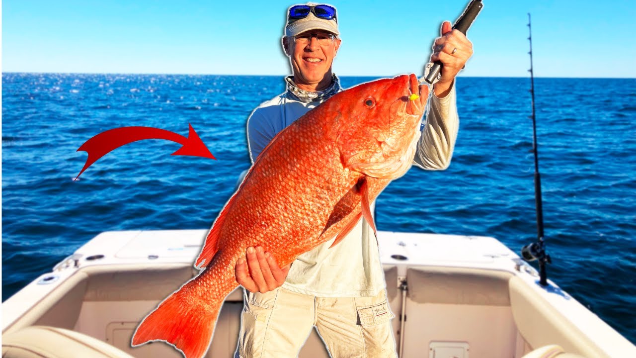MONSTER Snapper on Public Reefs? YES! It's This EASY! [Catch and Cook ...