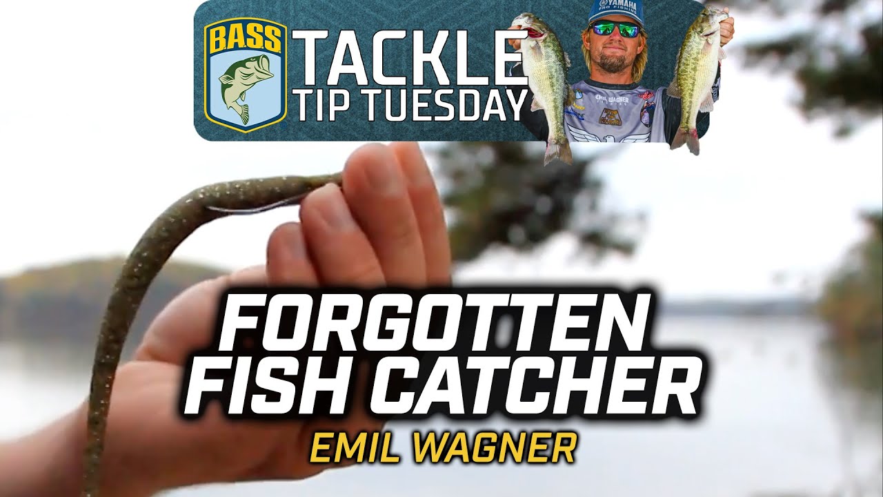 The Often-Forgotten fish catcher - YouTube