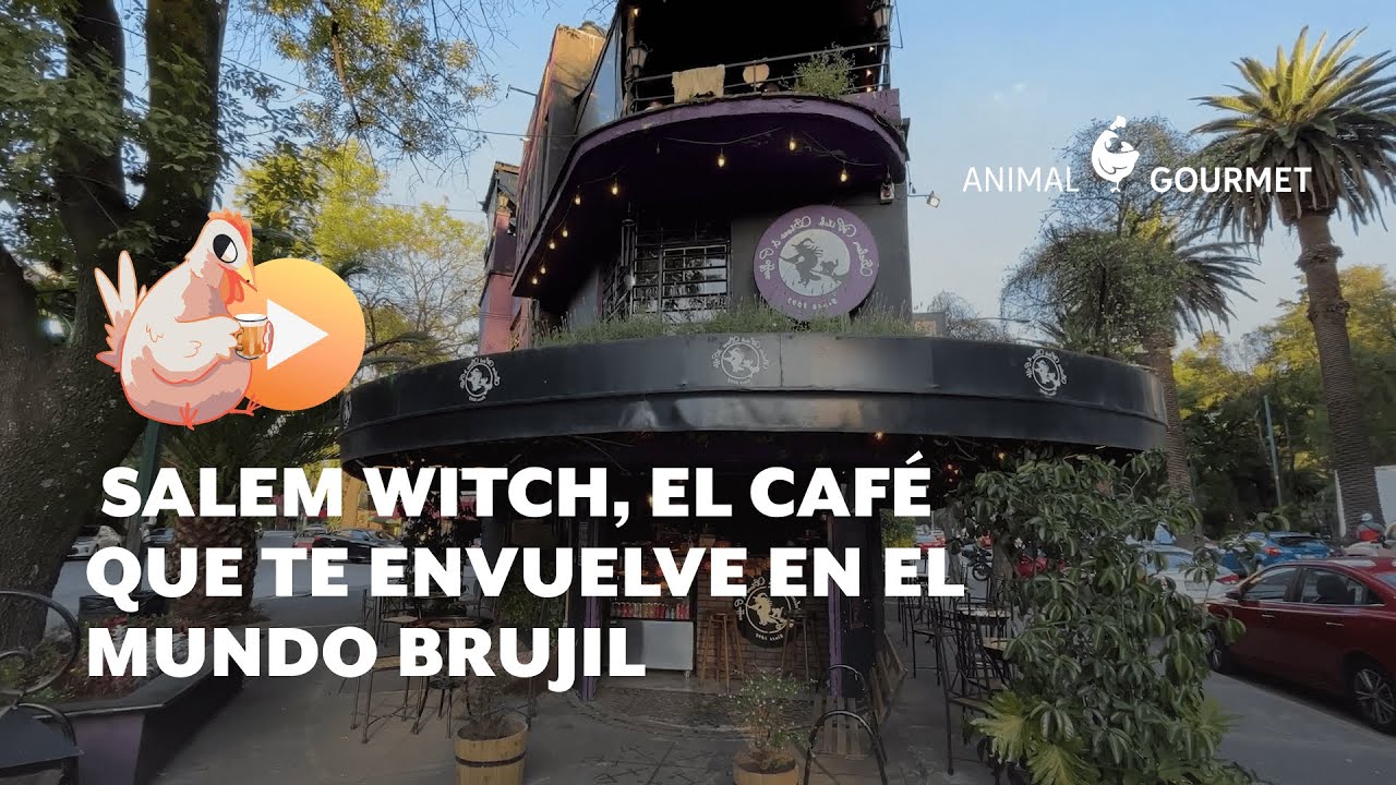 Salem Witch Store & Coffee - YouTube