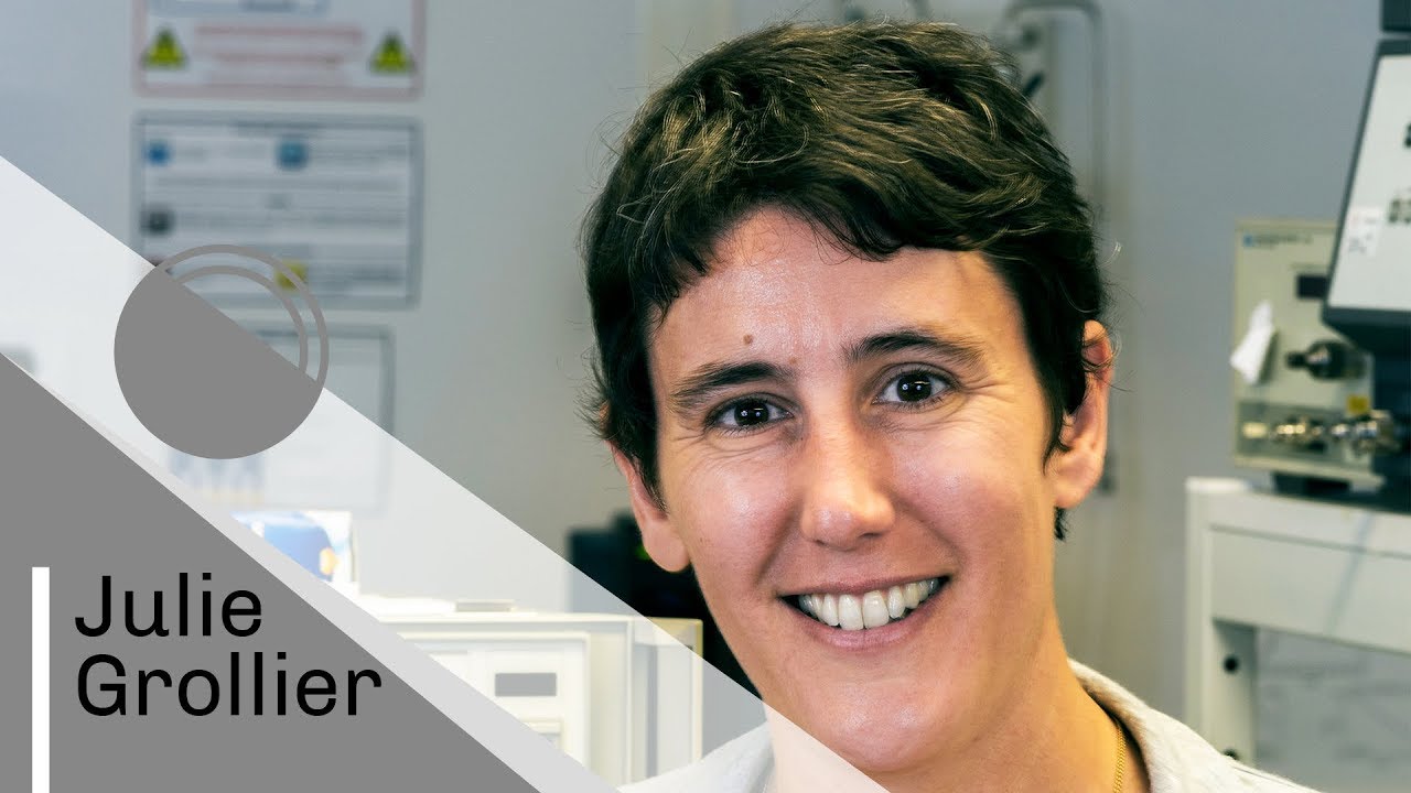 Julie Grollier, Chercheuse en physique | Talents CNRS - YouTube