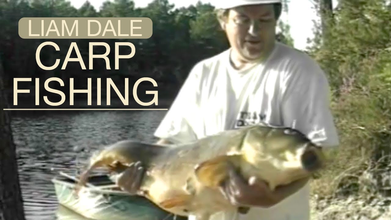 Liam Dale: Carp Fishing - YouTube