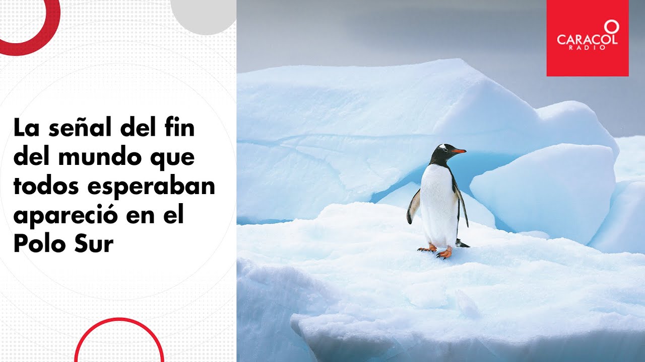 La señal del fin del mundo que todos esperaban apareció en el Polo ...