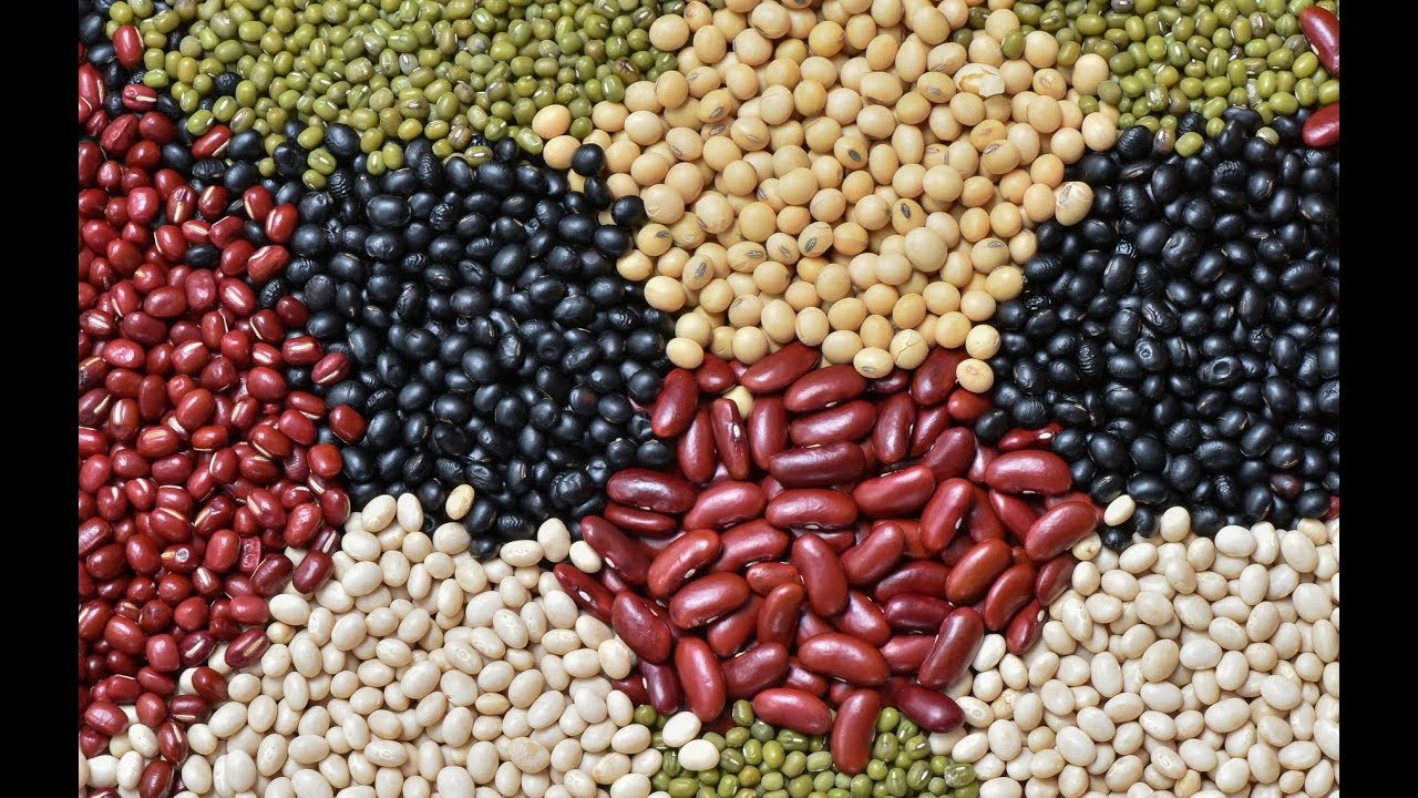 Fasulet | Cila ngjyre eshte më e shëndetshme?! - YouTube