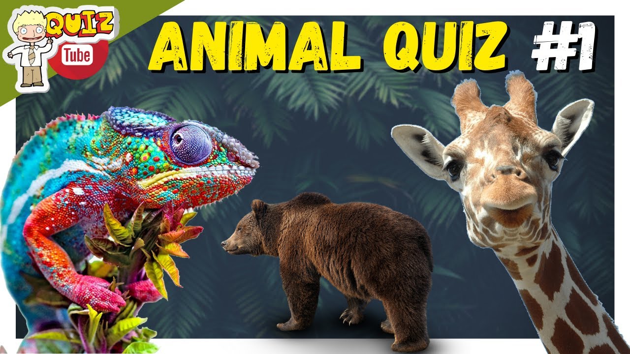 ANIMAL TRIVIA QUIZ #1 | 35 QUESTIONS AND ANSWERS | EDITION 2021 - YouTube