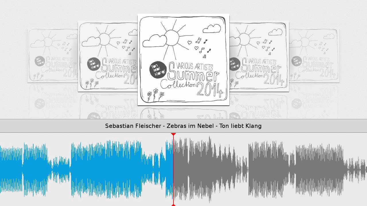 Sebastian Fleischer - Zebras im Nebel - Ton liebt Klang - YouTube