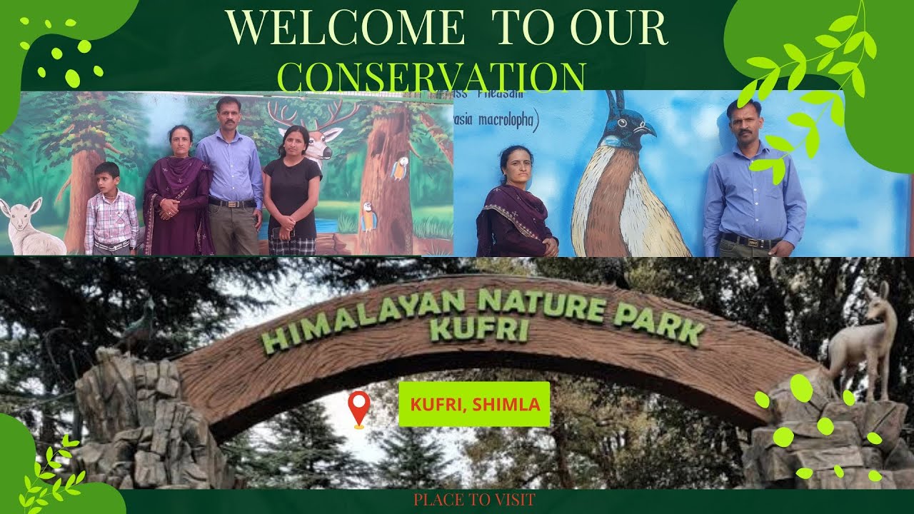 Himalayan Nature Park Kufri, Shimla|| kufri Zoo🦅🐅|| India's HNP|| # ...