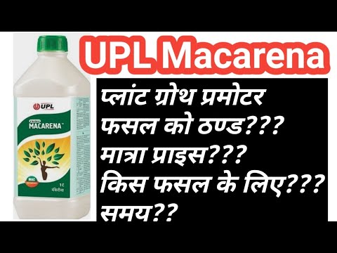 UPL Macarena plant growth promoter।।इस के बारे में विस्तार पूर्वक ...
