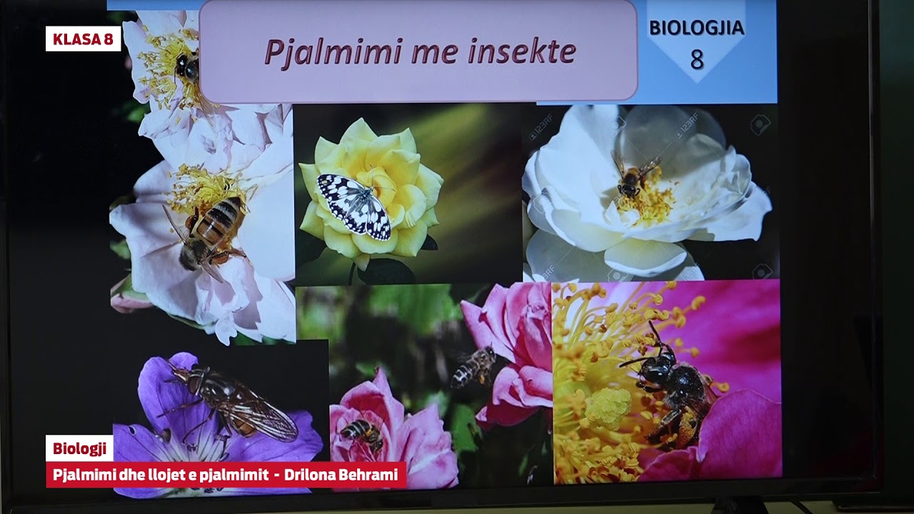 8510 - Biologji - Pjalmimi dhe llojet e pjalmimit - YouTube