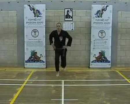 Flaming Fist Kenpo - Stance Set One - YouTube