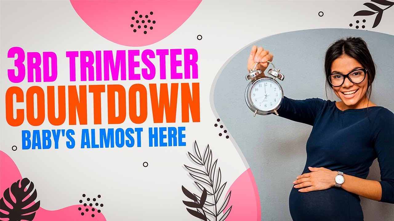 The Thrilling Third Trimester: What to expect Week-by-Week for Mom ...