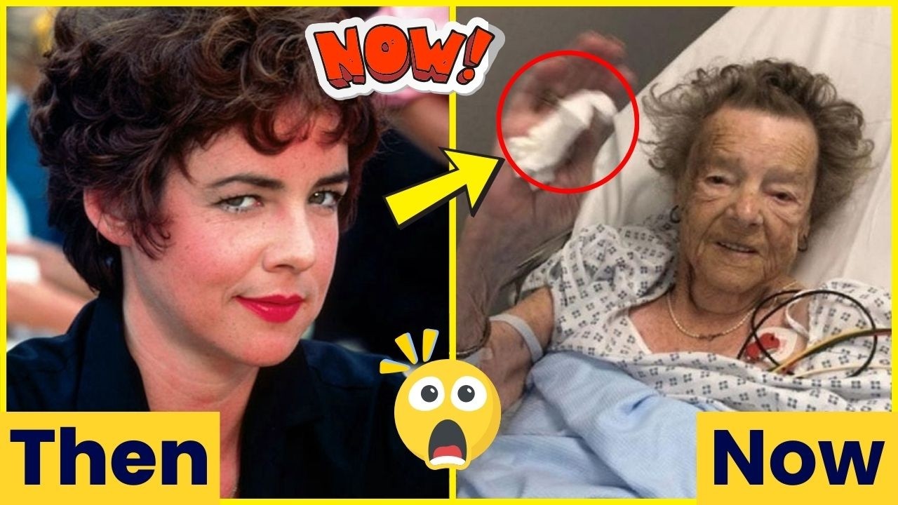 Grease Cast 1978: Then and Now 2024 – Shocking Transformations Revealed ...