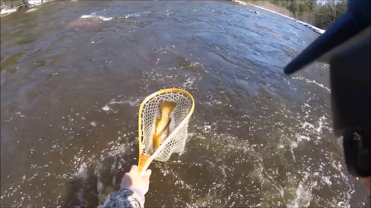 Wolf River Trout Fishing 4-20-18 - YouTube