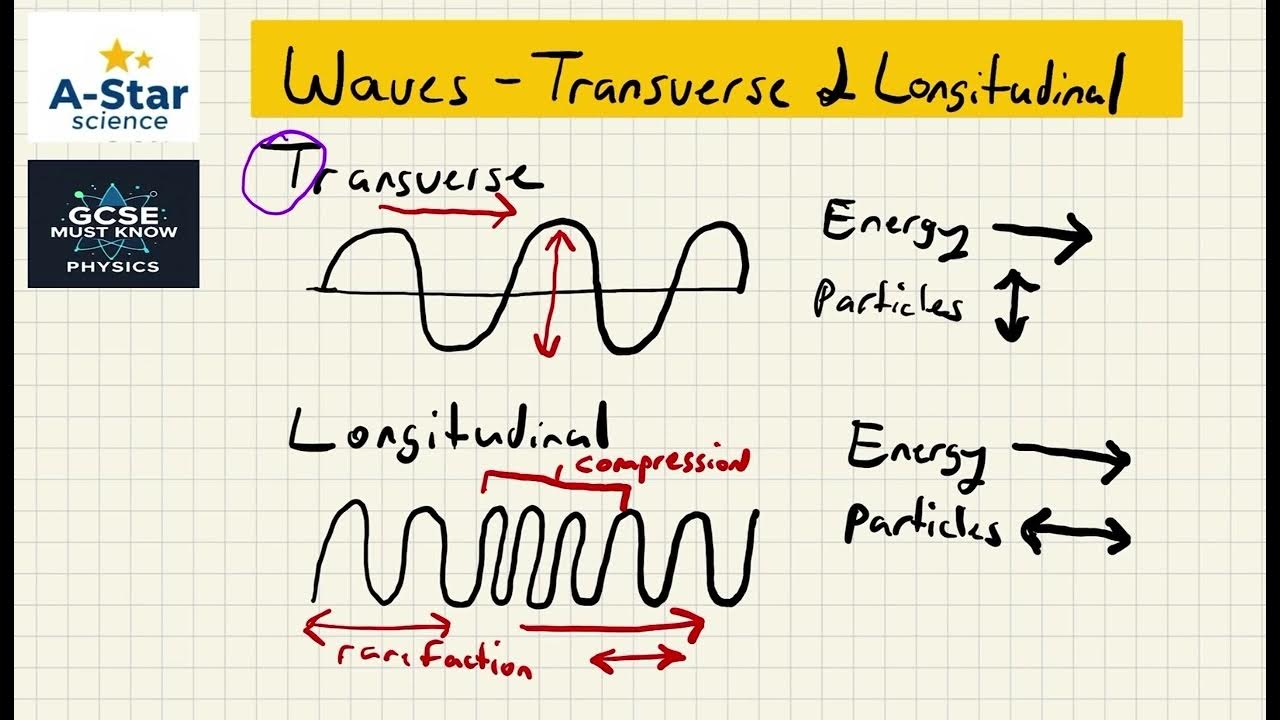 Transverse & Longitudinal Waves [GCSE Physics - Must Know Series] - YouTube