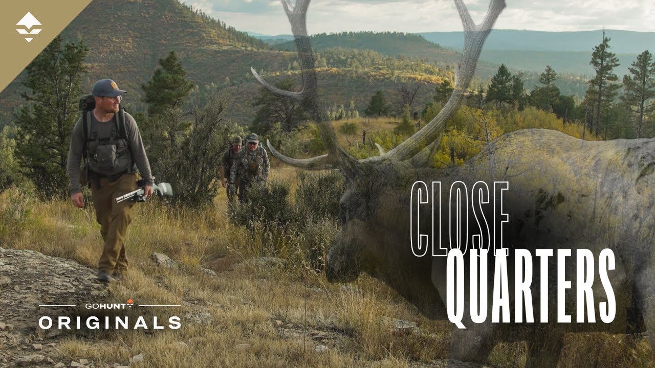 A New Mexico Elk Hunt - Close Quarters - YouTube