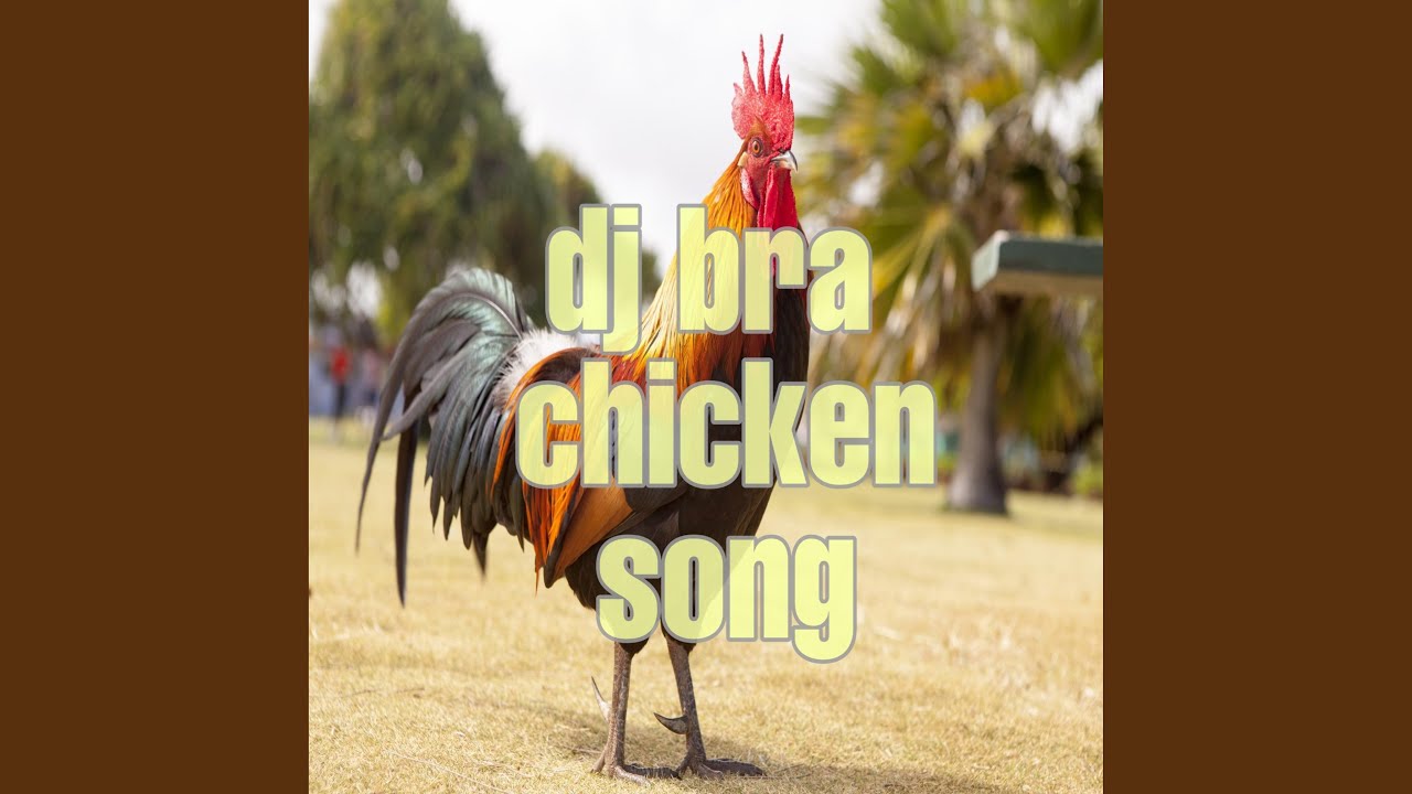 Chicken song - YouTube Music
