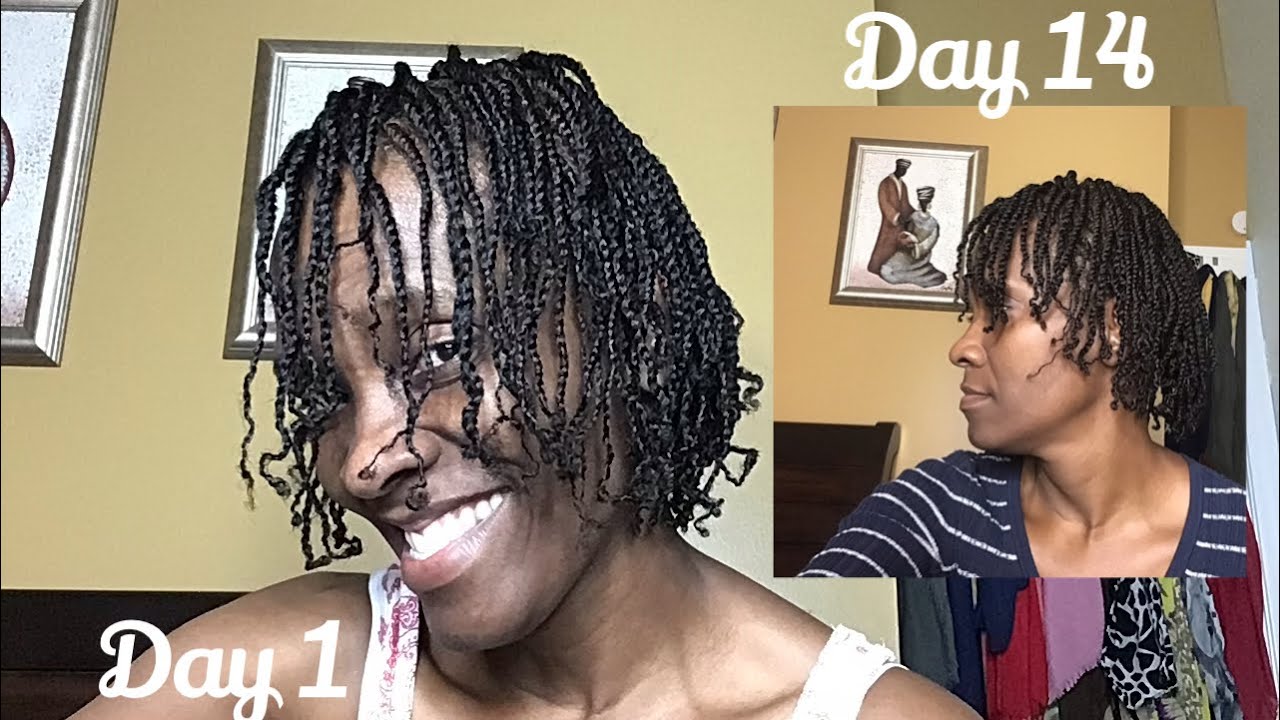 Very Late Update. My starter locs after 2 weeks - YouTube