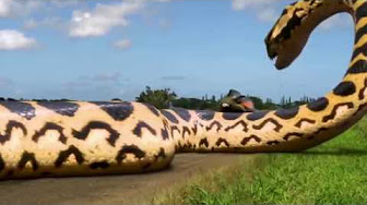 Popular Videos - Piranhaconda - YouTube