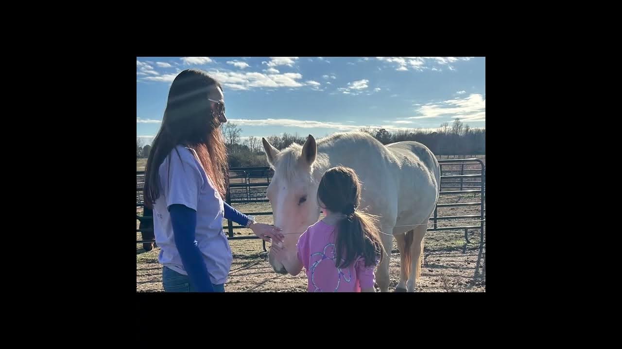 Janice Faye's Ranch Updated Video - YouTube