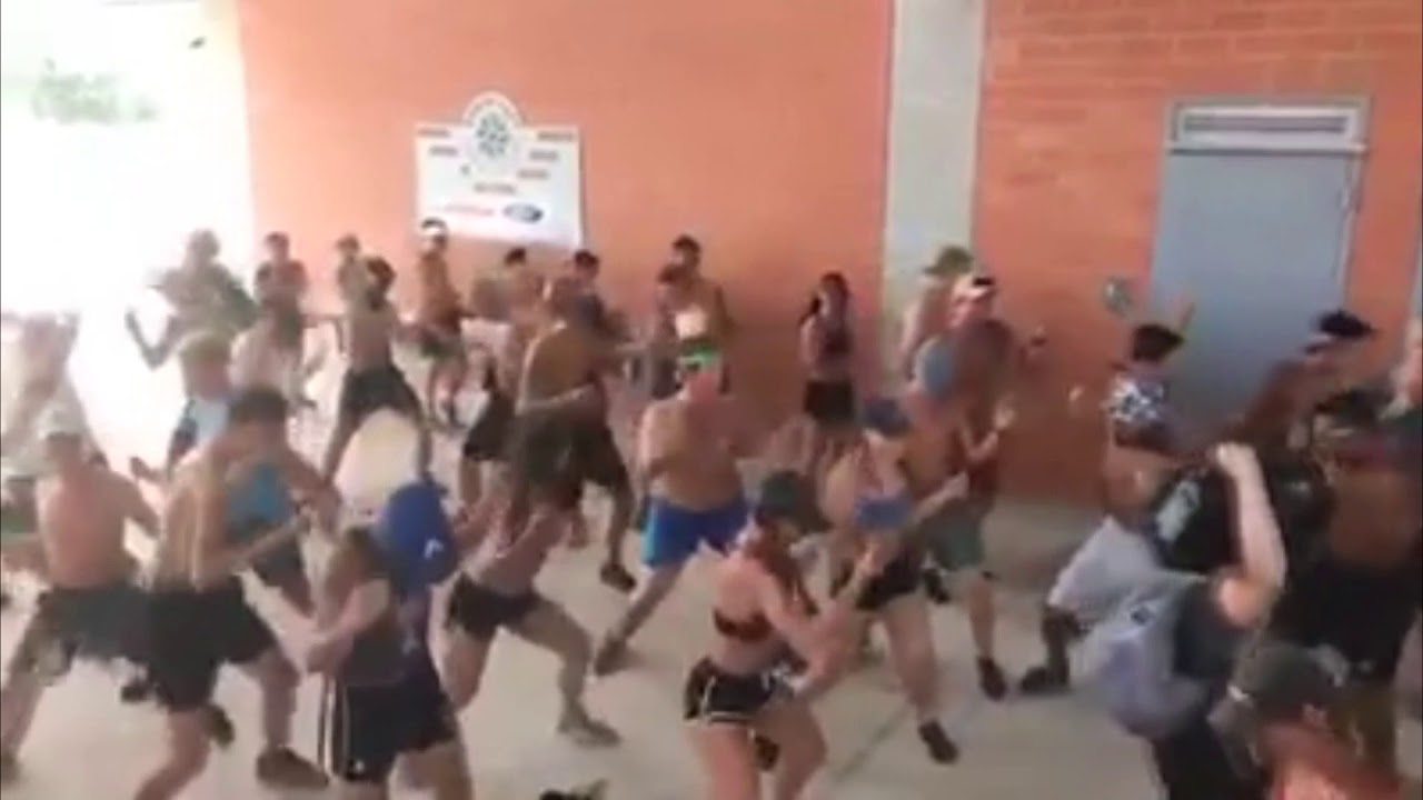 Boston Crustaceans - YouTube