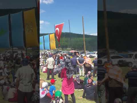 Fatma Meşe Öz [karadır kaşların]