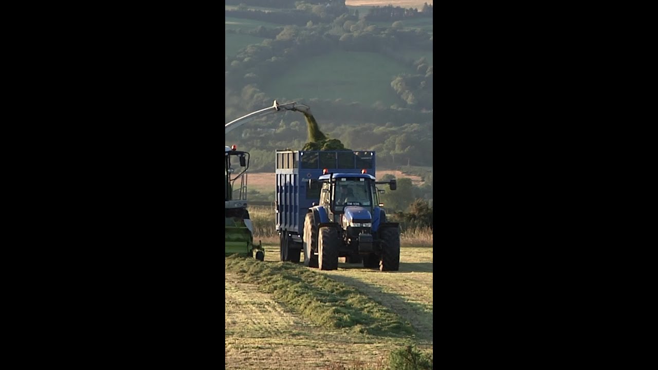 A little Mark Troy nostalgia! | Grassmen | The Content Farm