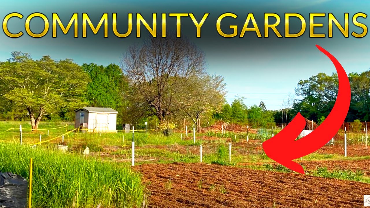 Creating a Community Space: Inspired by the Vision of Jessica Sowards ...