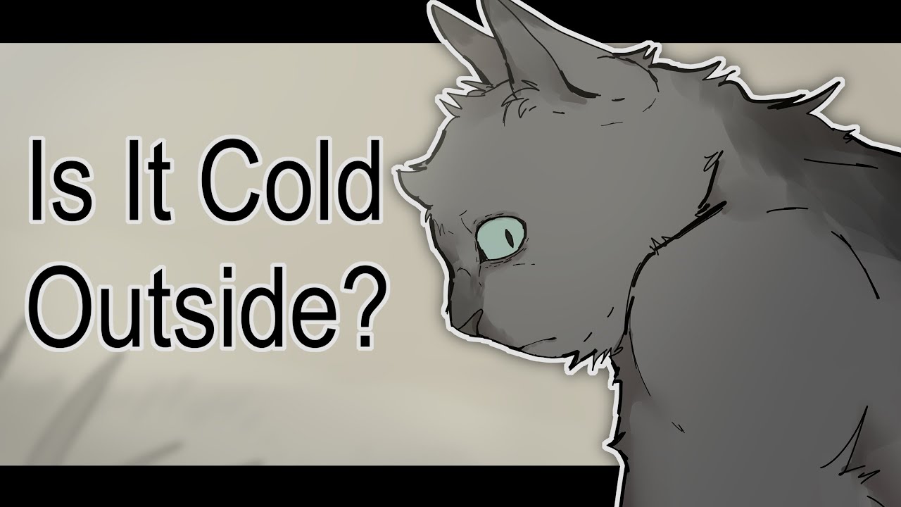 :Is It Cold Outside?: //FOREST (cats)// - YouTube