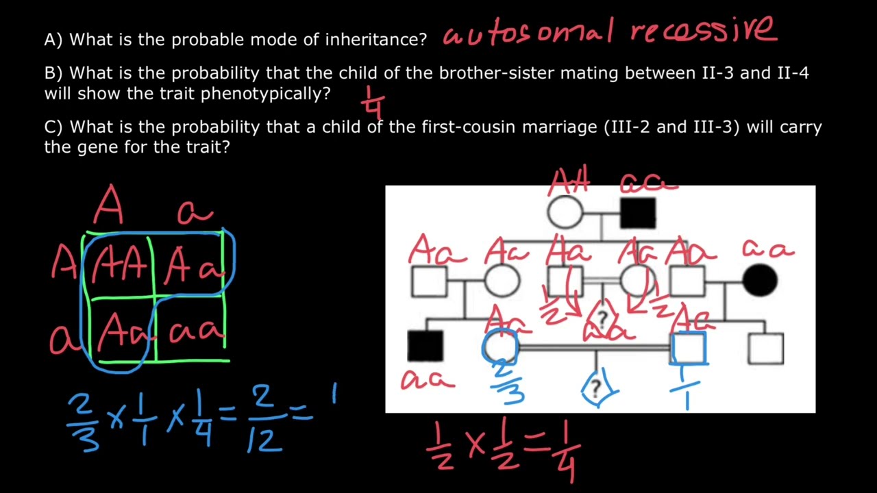 Recessive Genetic Disorder Probability of Inheritance - YouTube
